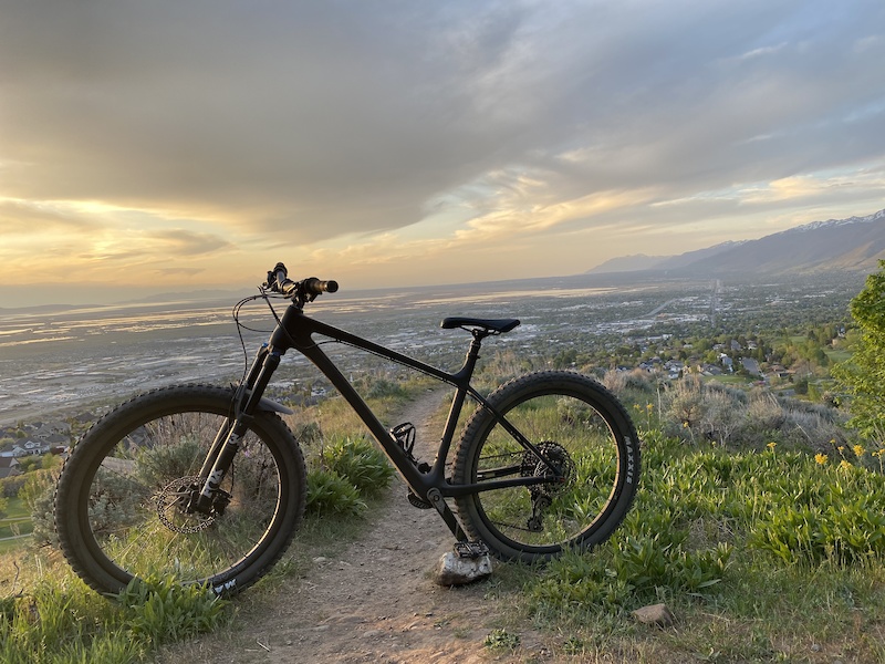 2020 Diamondback Sync’r Pro Carbon For Sale