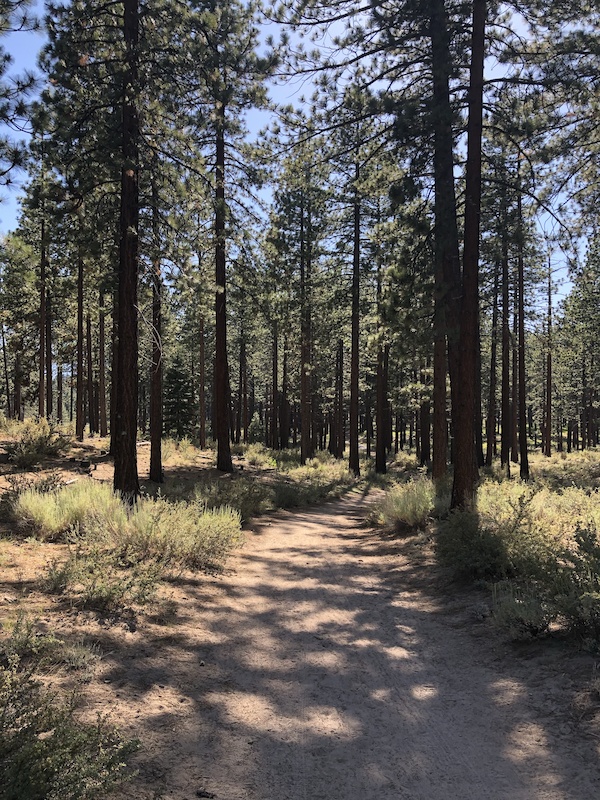 Stateline, Nevada Mountain Biking Trails | Trailforks