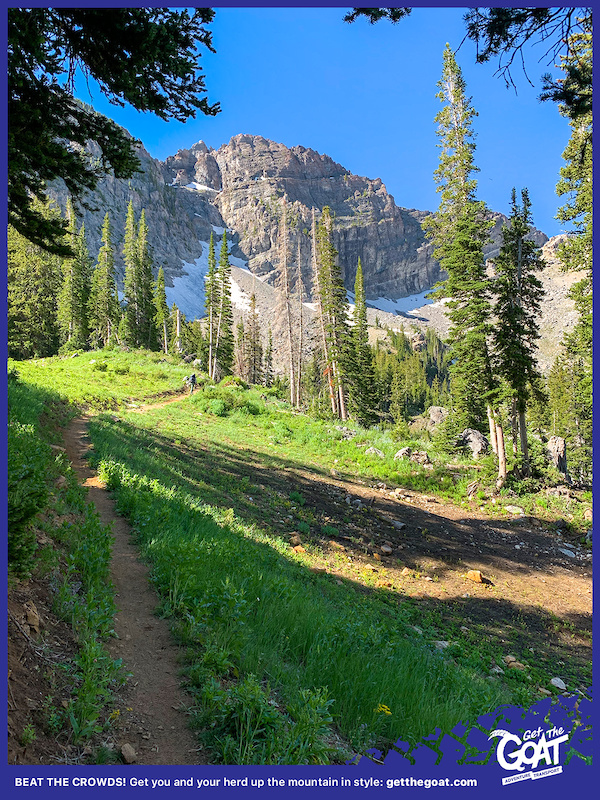 Devils Castle, Lower Multi Trail - Alta, UT | Trailforks