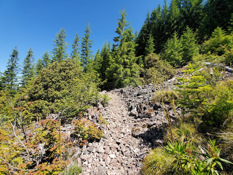 Unknown Trail Mountain Biking Trail - Disston, OR