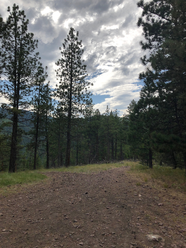 Hayes Point Loop Multi Trail - Missoula, Montana