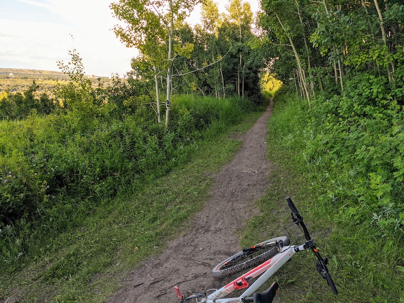 Ridge Run Multi Trail - Calgary, Alberta | Trailforks