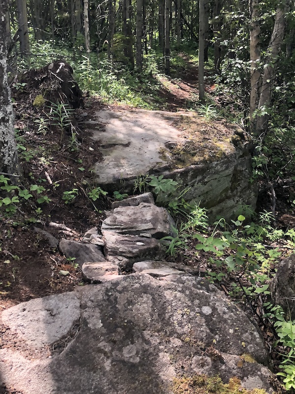 Black Top Chute Mountain Biking Trail - Dawson Creek