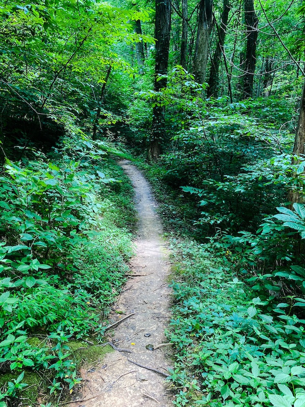 Blue Loop Multi Trail - Owensboro, Kentucky | Trailforks