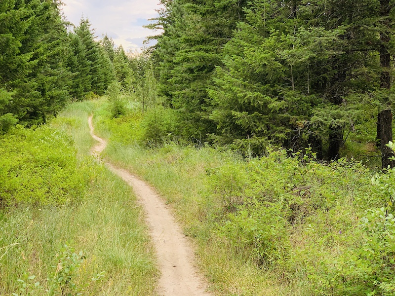 Redneck Alley Mountain Biking Trail - Missoula, Montana