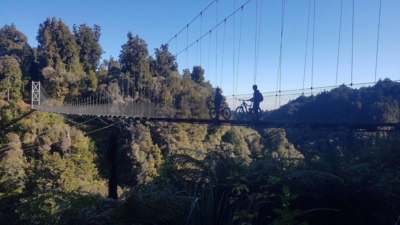 The Timber Trail | Pureora to Piropiro Mountain Biking Trail