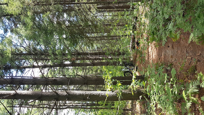 Tim Horton's Mountain Biking Trail - Milton, Ontario