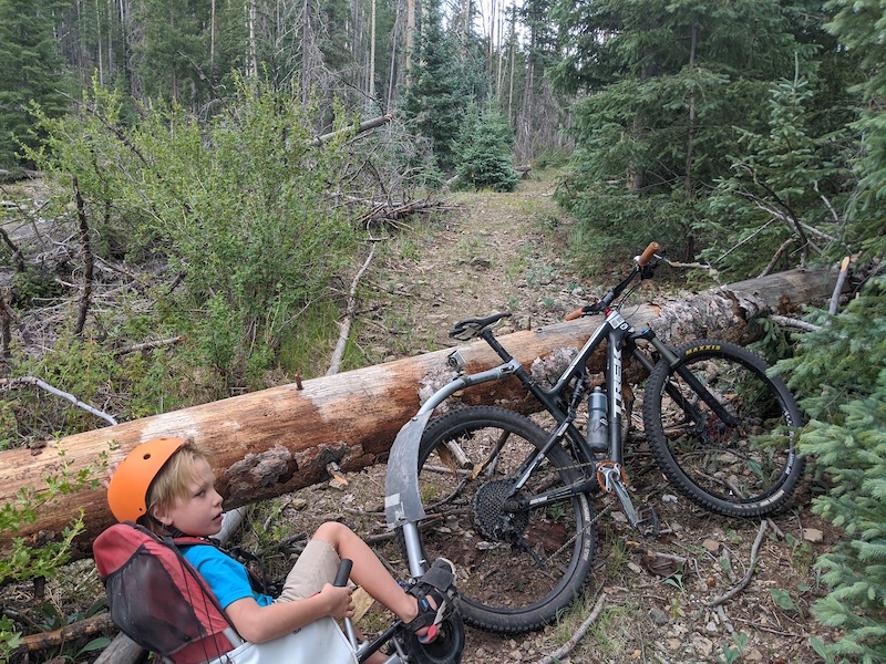 Williams Valley Recreation Area, Alpine Mountain Biking Trails | Trailforks