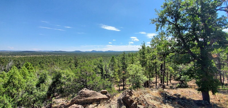 Panorama Multi Trail - Pinetop-Lakeside, Arizona