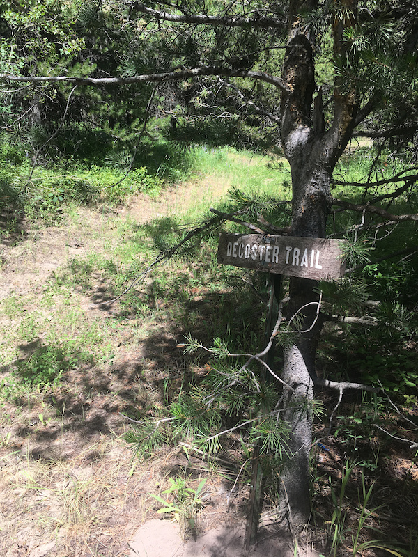Lower Tepee (aka Think Fast Hippie) Mountain Biking Trail - Tetonia