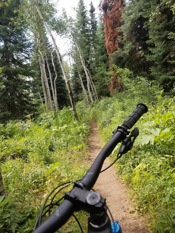 TC Pro Aug 18 Mountain Biking Route | Trailforks