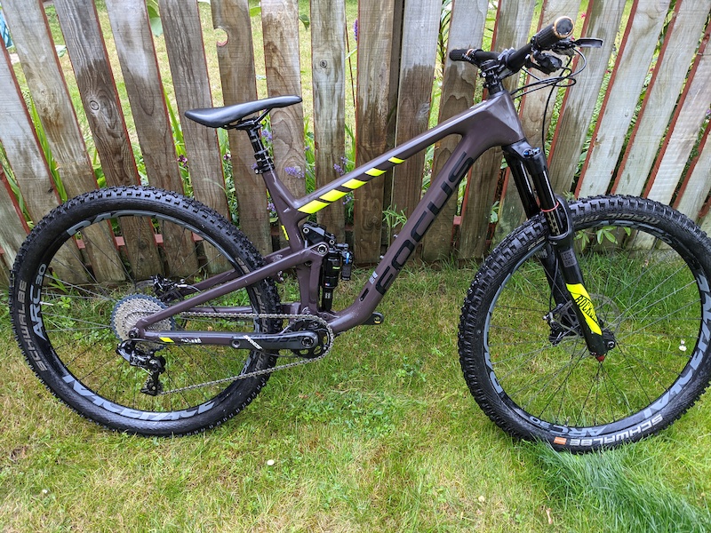 2017 Focus Jam C Factory (Medium) For Sale