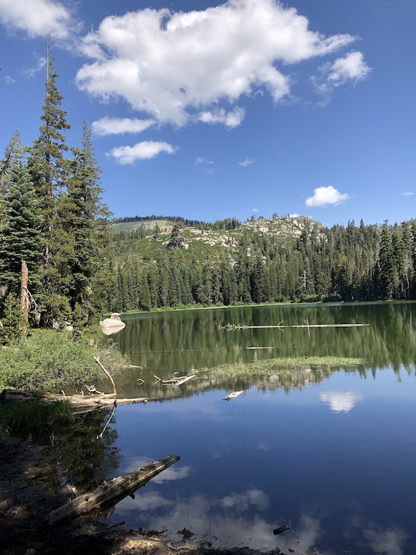 Donner Lake Rim Trail/Summit Lake Road Multi Trail - Truckee