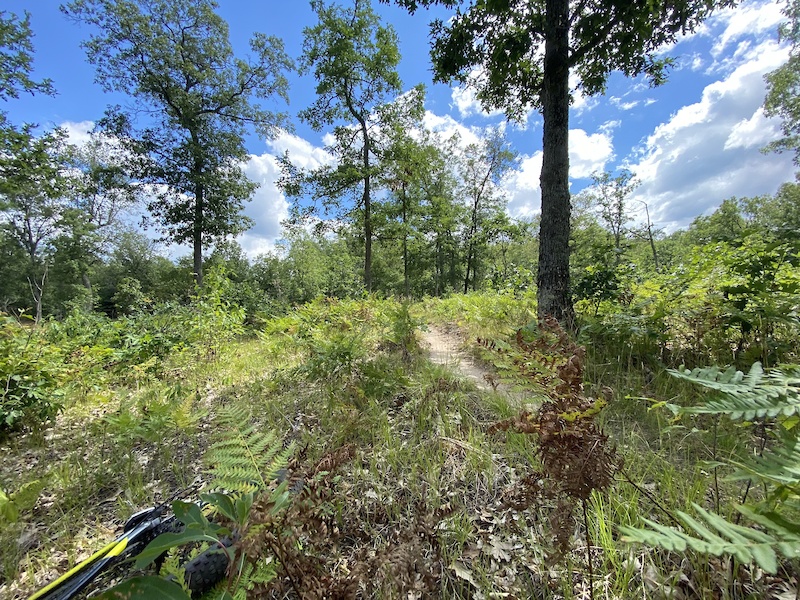 NCT - M20 to W 11 Mile Rd Multi Trail - White Cloud