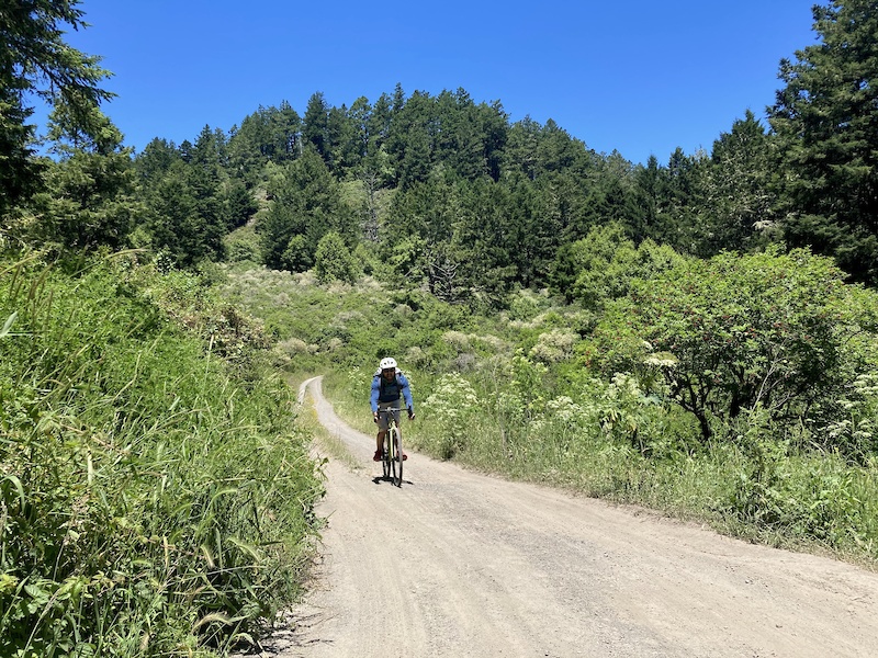 Stewart Trail (Road) Multi Trail - Point Reyes Station