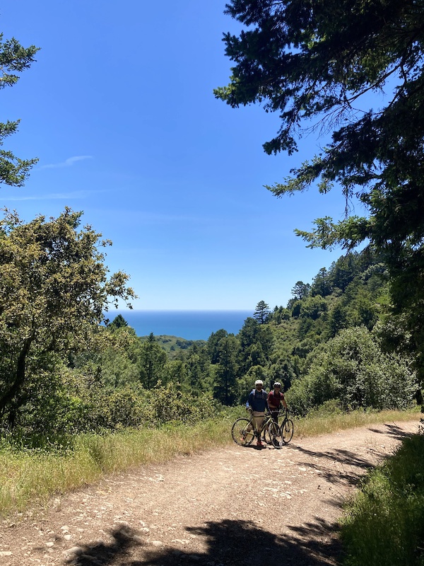 Stewart Trail (Road) Mountain Biking Trail - Point Reyes Station