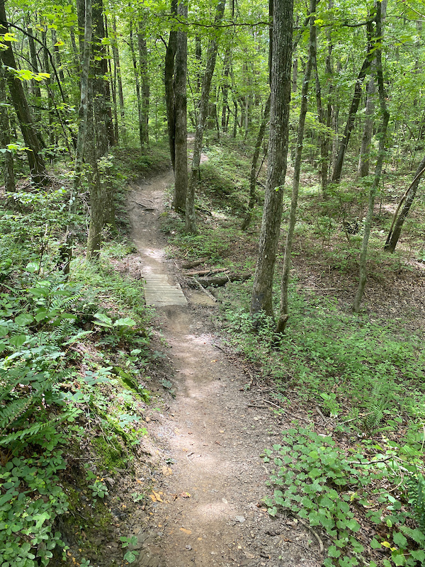 North Hogsback Trail Mountain Biking Trail - Trenton