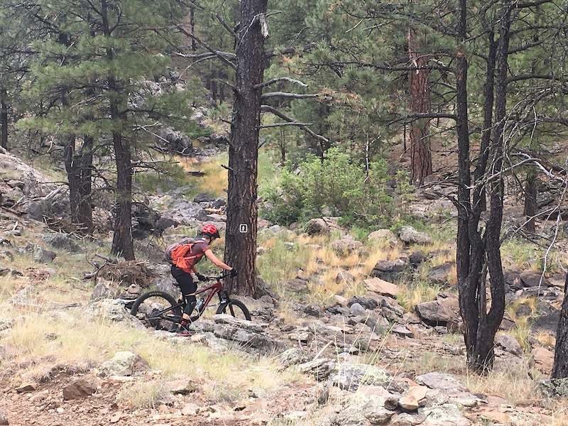 Sycamore Rim North Multi Trail - Williams, AZ