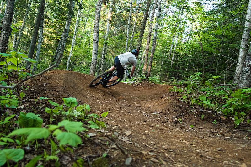 Poker Run (Both Routes) Print Version Mountain Biking Route | Trailforks