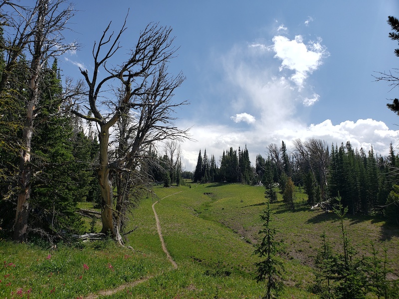 Second Yellow Mule Multi Trail - Big Sky, Montana