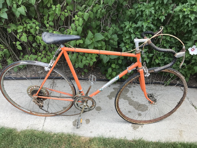 Norstar Atala Road Bike 10 speed For Sale