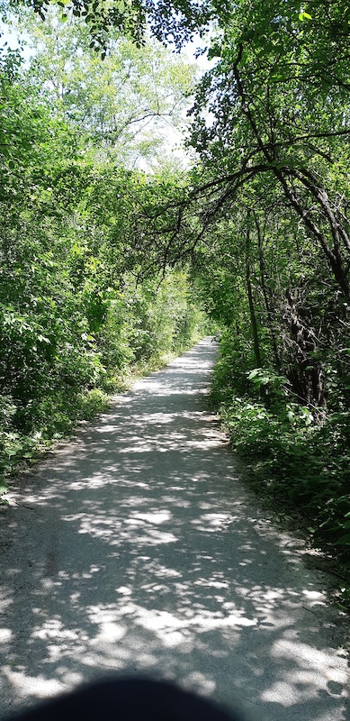 Saigeon Extension Woodchip Trail (Tower Hill Rd Section) Multi Trail ...