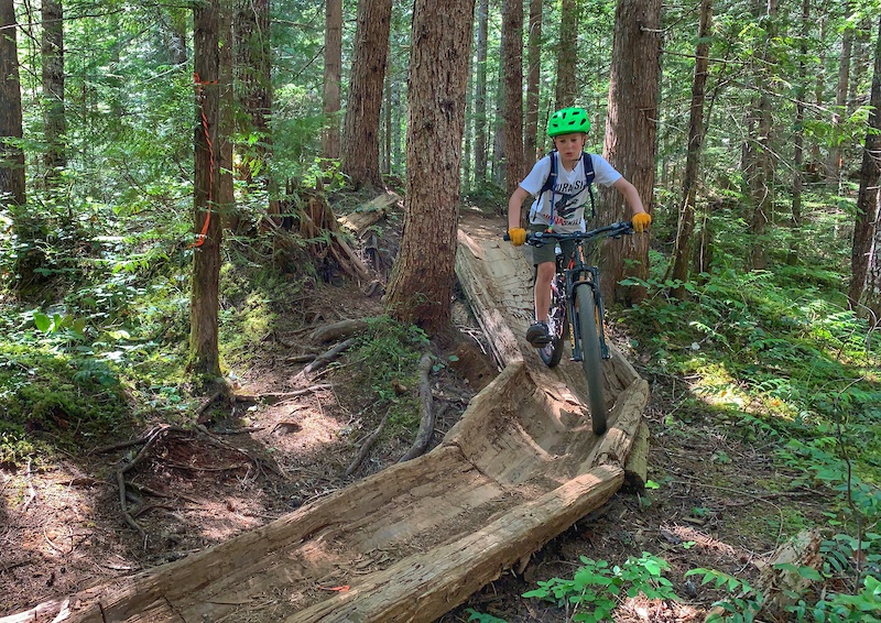 Top 5 Cumberland Trails in One Ride Mountain Biking Route | Trailforks