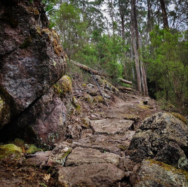 Iron Tor (Climb) Mountain Biking Trail - Penguin