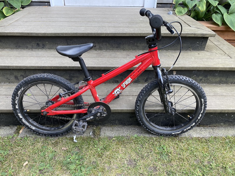 2016 Spawn Cycles Banshee For Sale