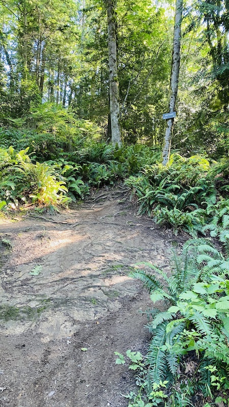 Drop Down Hiking Trail - Mt. Vernon, Washington
