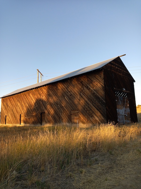 Burt's Mountain Biking Trail - Wenatchee, Washington