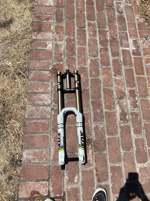 Limited edition Fox 40 For Sale