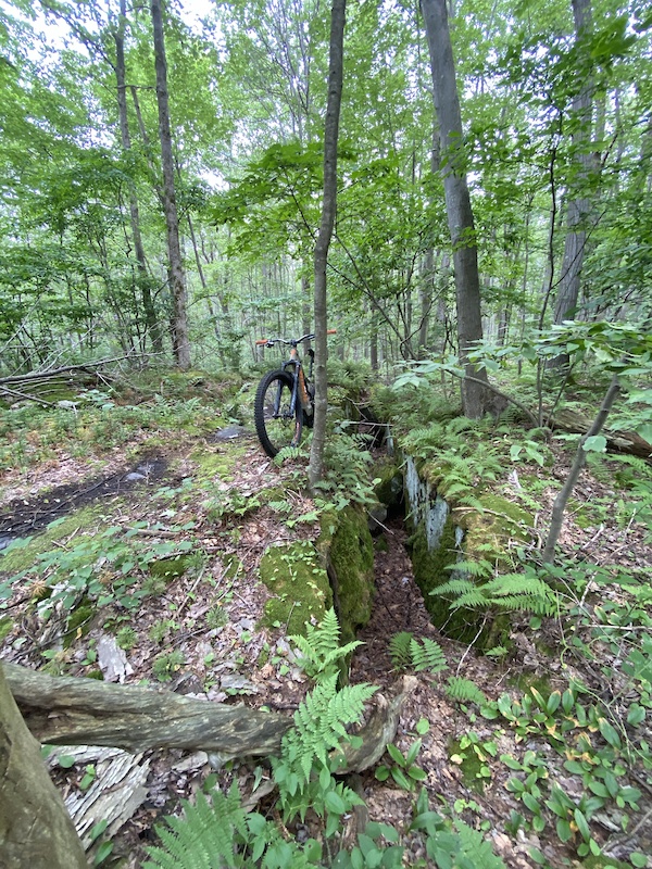 Forbes State Forest Mountain Biking Trails | Trailforks