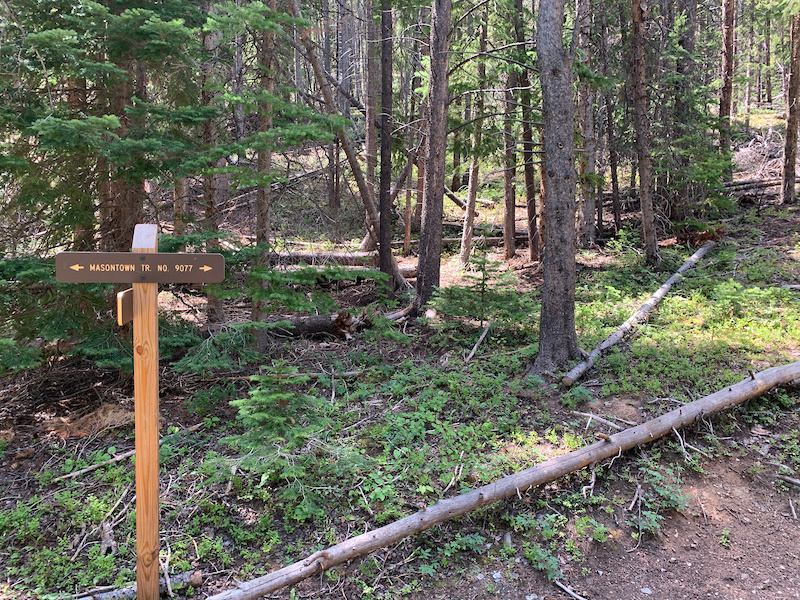 Masontown Mountain Biking Trail - Frisco, CO