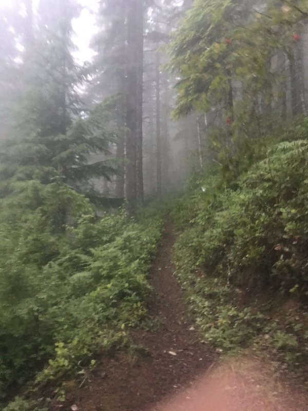 Mount Muller Mountain Biking Trail - Port Angeles, WA