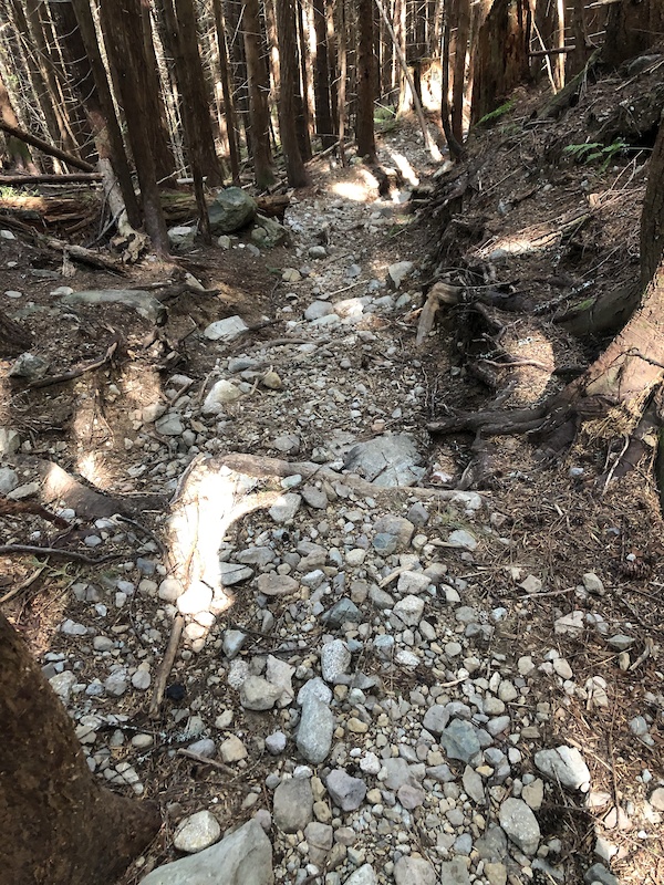 SORCA Social #7 Ebike 2025 Mountain Biking Route | Trailforks