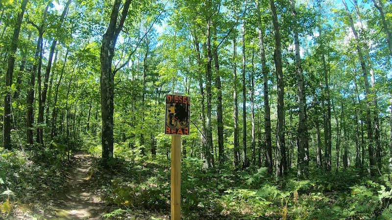 Diesel Bear Mountain Biking Trail - Bayfield, Wisconsin