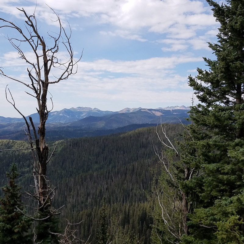 CT - Highline (Ryman Creek) Multi Trail - Durango, CO