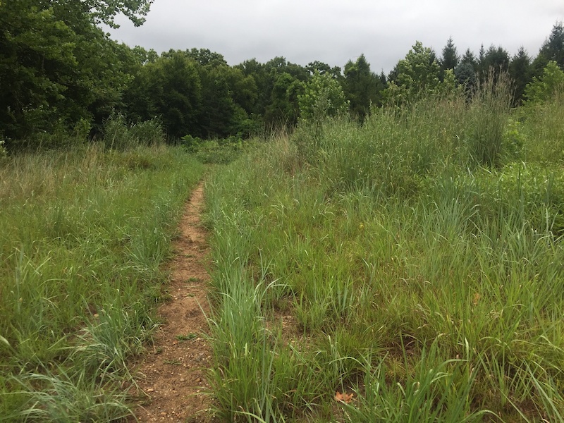 Machimoodus Yellow Trail Multi Trail - East Haddam