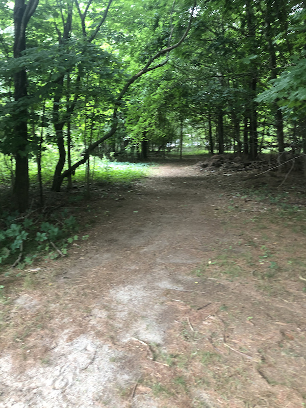 Boxford Village Trail Mountain Biking Trail - Boxford