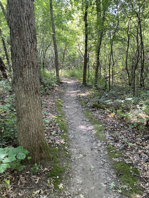 North Loop (Jail Trail) Mountain Biking Trails | Trailforks