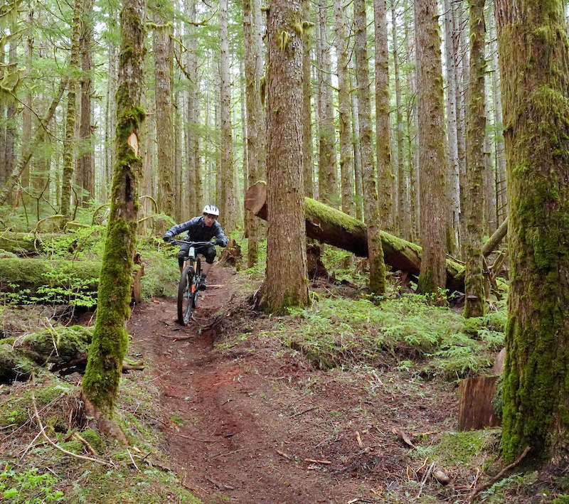Pedal Fed Mountain Biking Trail - Kitimat, BC