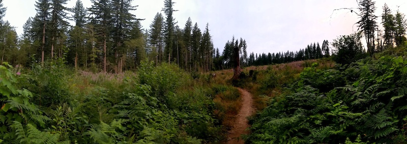 Hidden Falls and Kloochman Butte | Trailforks