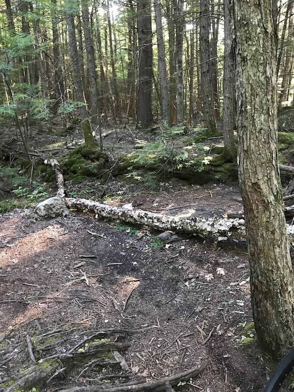 Westline Multi Trail - Lebanon, New Hampshire