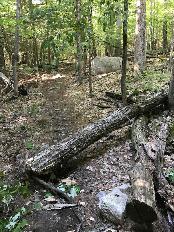 Hardwoods Multi Trail - Lebanon, New Hampshire