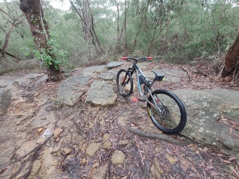 South Turramurra DH Mountain Biking Trail - Hornsby