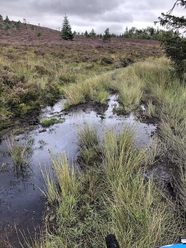 Lochan Oisinneach Beag Paths Hiking Trail - Dunkeld