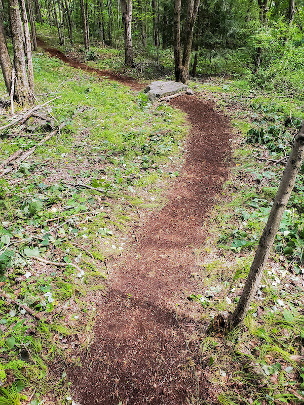 Goat Path (green blaze) Mountain Biking Trail - Thomaston