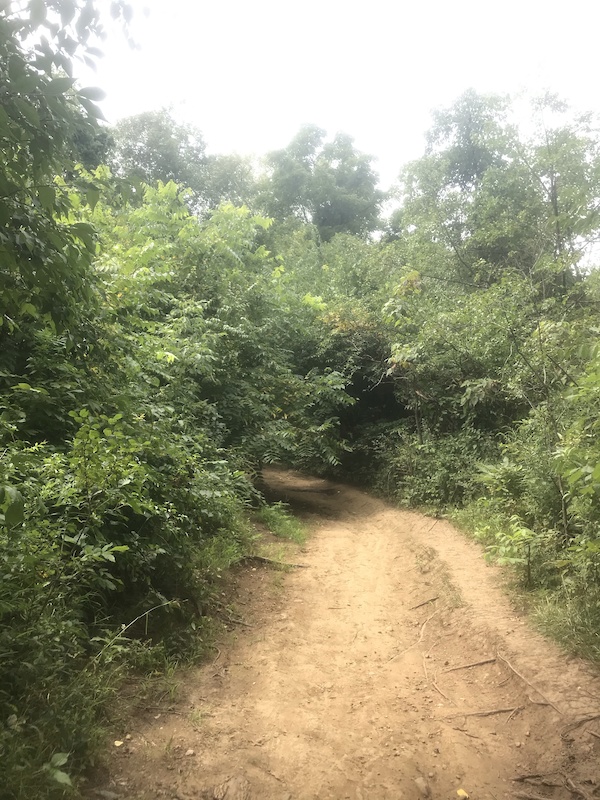 Red Gate Woods Access Trail Multi Trail - Willow Springs