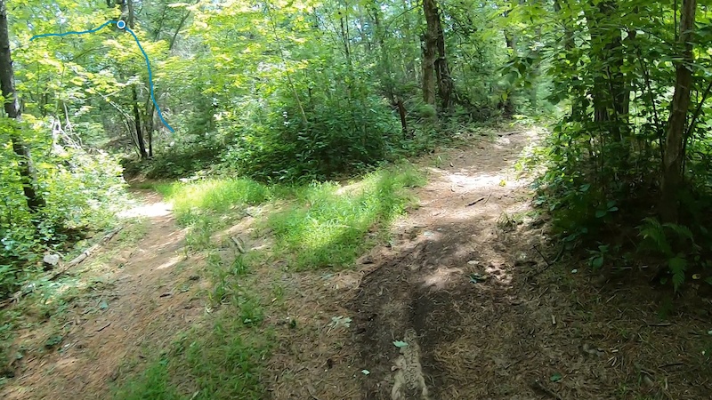 Boxford State Forest, Boxford Mountain Biking Trails | Trailforks